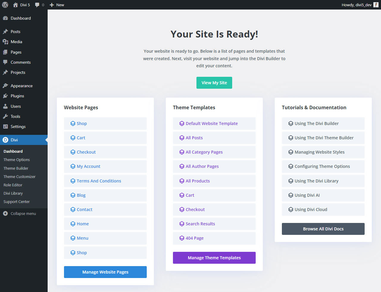 7 Steps To Test Divi 5 Alpha: Installation, Migration and Rollback ...